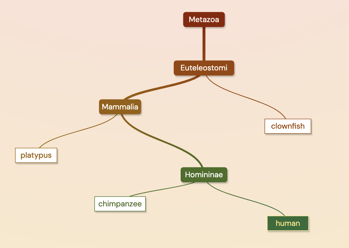 Games - The Science Playground