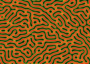 All Links - The Science Playground