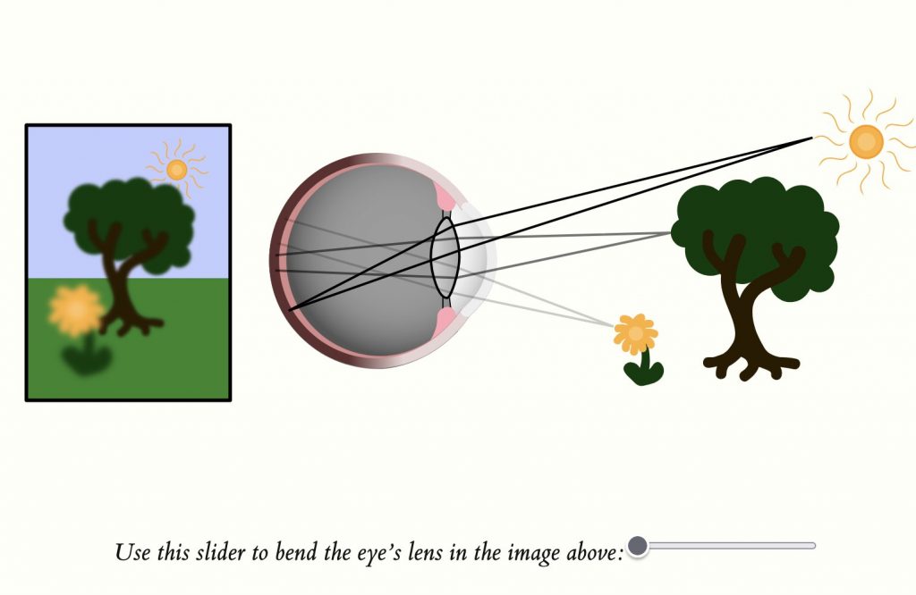 Simulations – The Science Playground