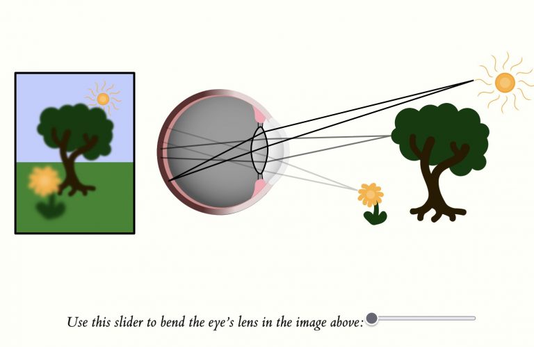 Simulations – The Science Playground